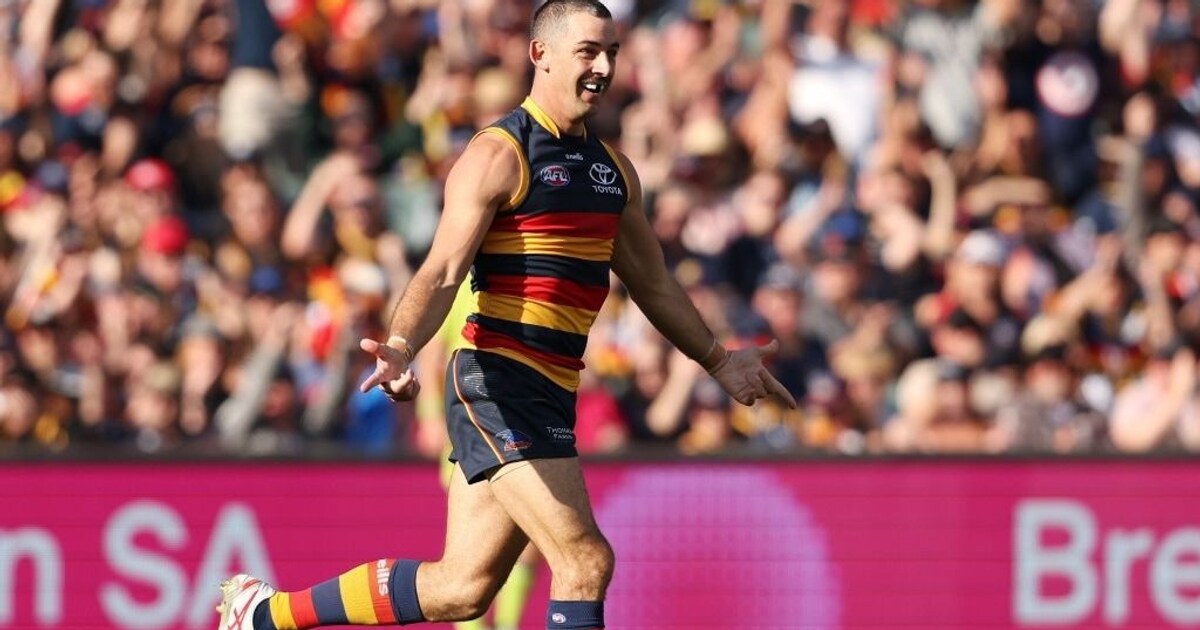 Footy Feed: Hawk's Clarko hope, Walker latest, Don down, Roo return?