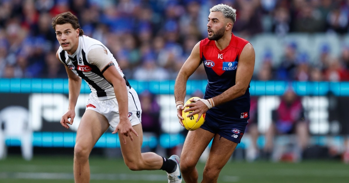 MATCH REVIEW: Melbourne Demons defender Christian Salem charged with ...