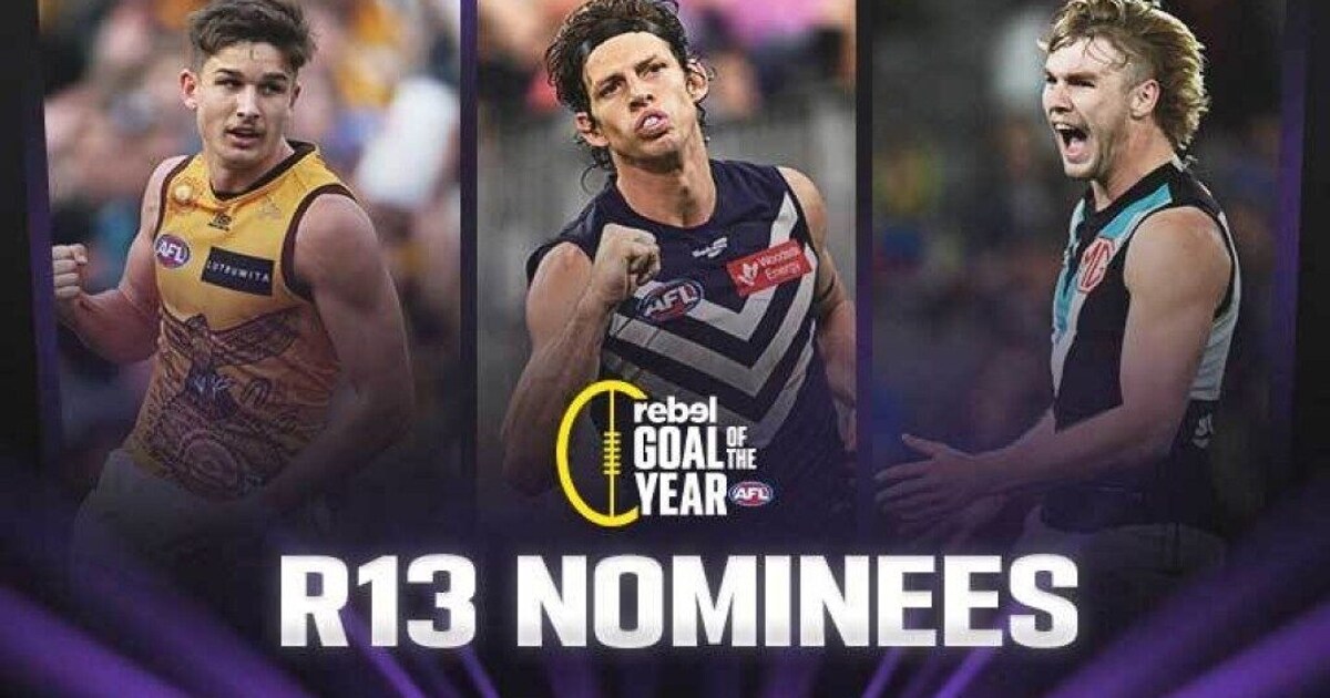 AFL Goal of the Year: Round 13