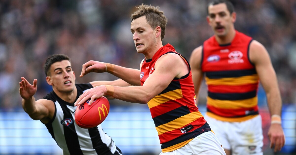 Adelaide Crows skipper Jordan Dawson lands maiden B&F, midfielder Rory ...