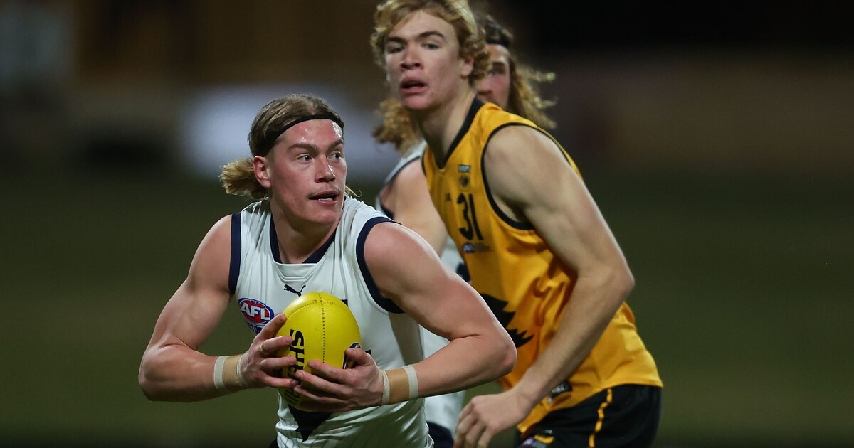 Harley Reid hype intensifies after match-winning showing in U18 champs
