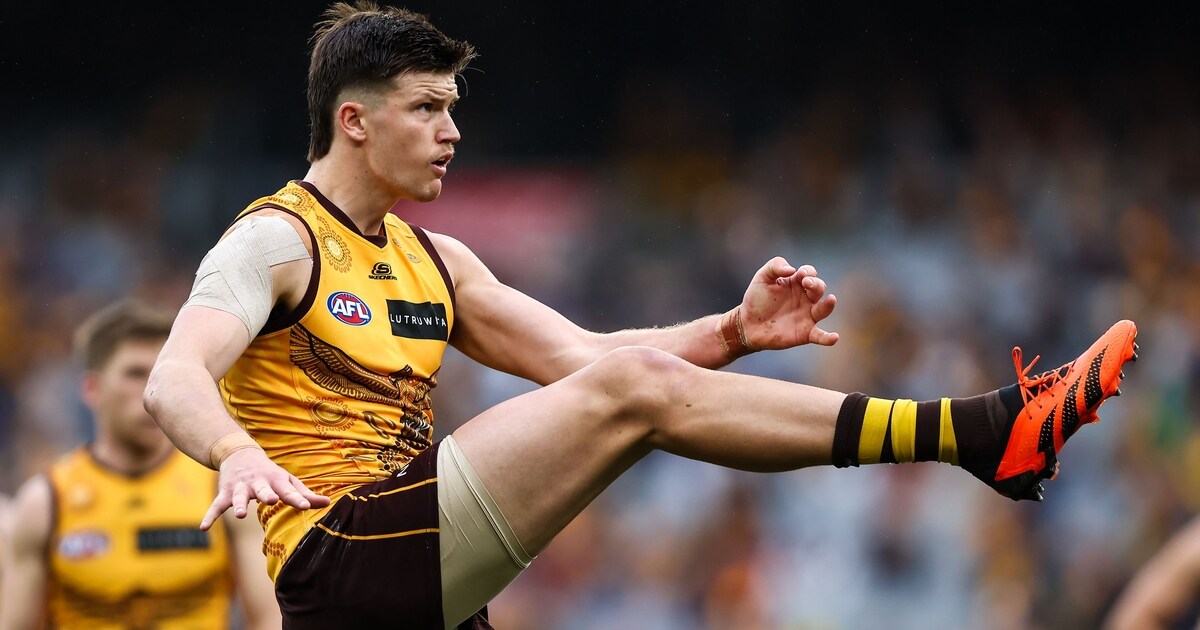 Hawthorn Hawks spearhead Mitch Lewis to miss again, gun midfielder Jai ...