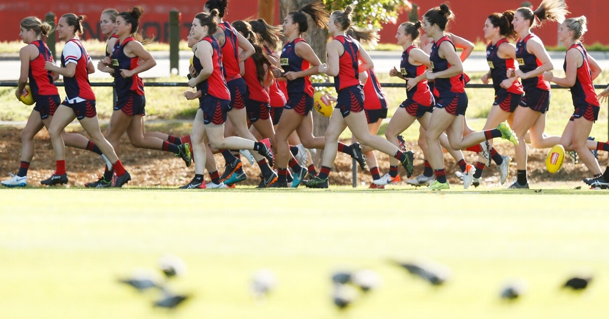 Melbourne season guide: All you need to know