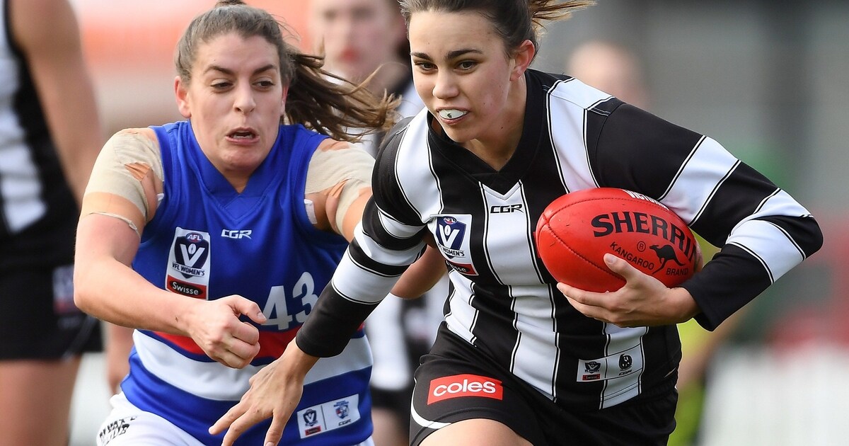 'It was a chicken leg': Star Magpie back in business a year after nasty ...