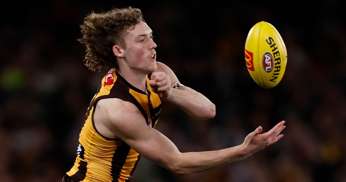 Hawthorn Hawks defender Josh Weddle raises the bar after strong debut ...