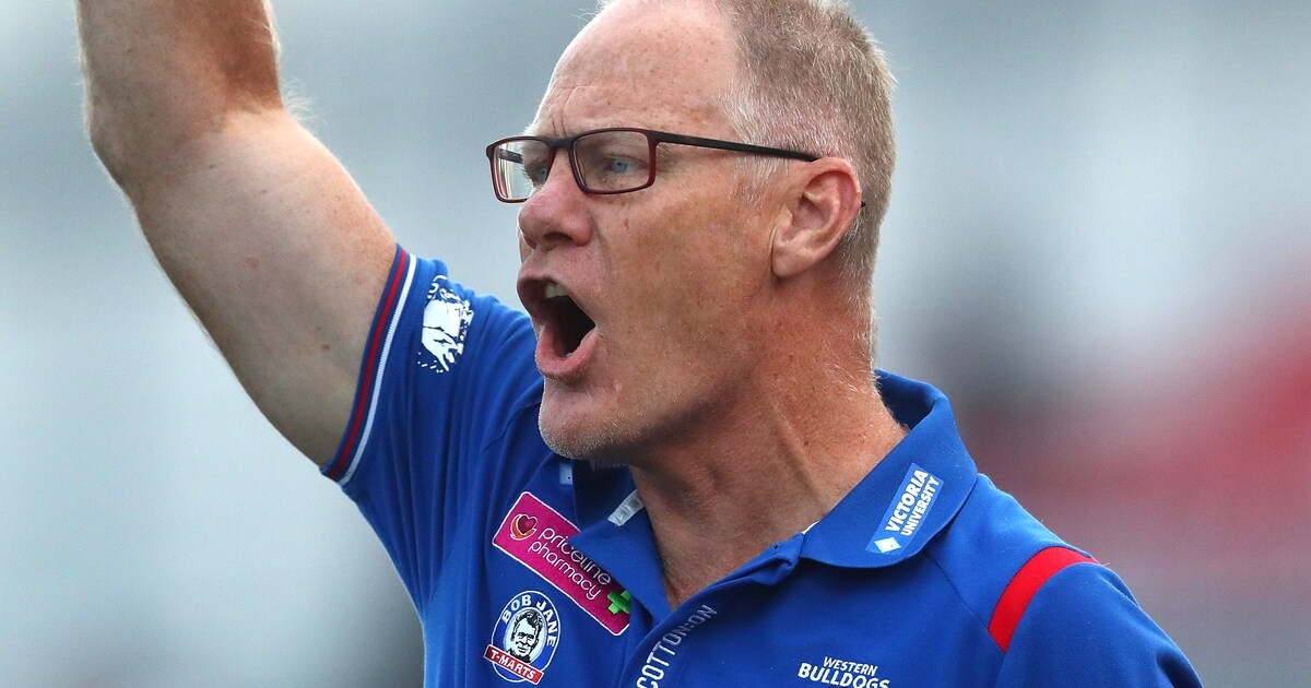 Dogs coach set to be issued with 'please explain' over umpire incident