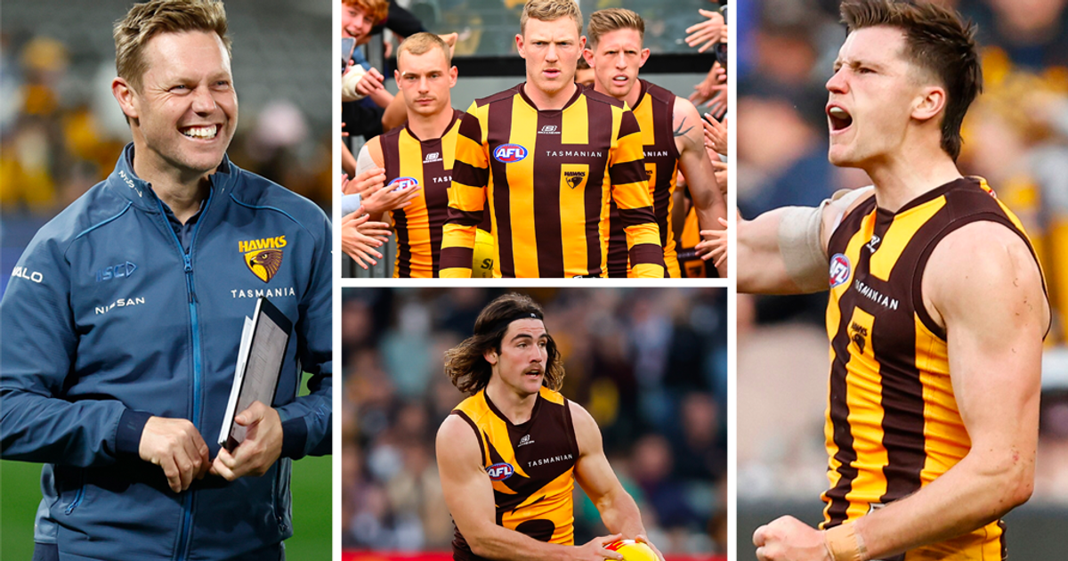 Spreading their wings: How Hawthorn Hawks are progressing in bold rebuild