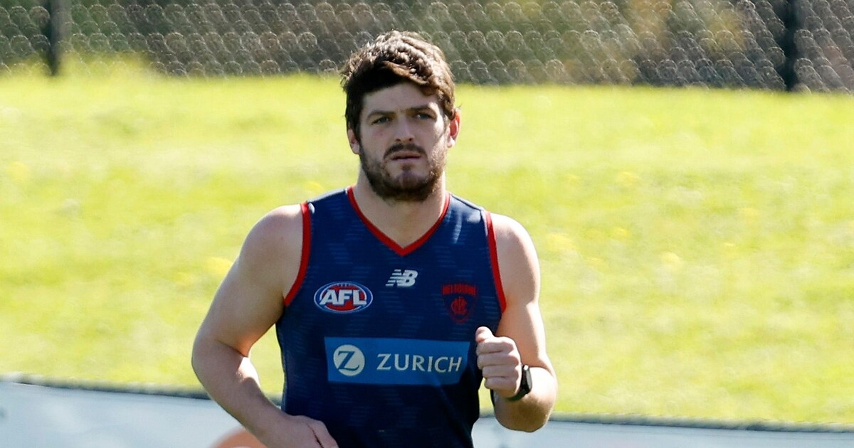 Melbourne Demons haven't talked retirement after latest Angus Brayshaw ...
