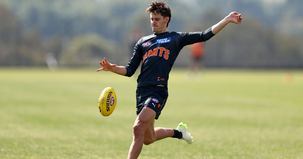 Greater Western Sydney Giants axe duo Jason Gillbee, Cameron Fleeton ...