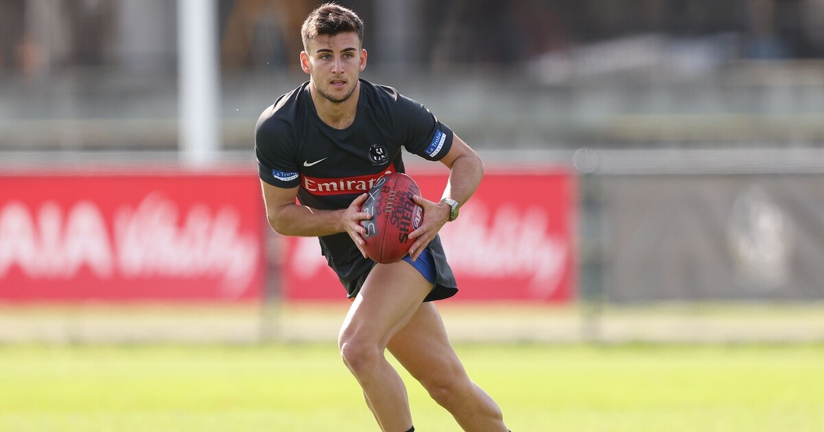 Collingwood Magpies gun Nick Daicos 'done everything possible' in quest ...