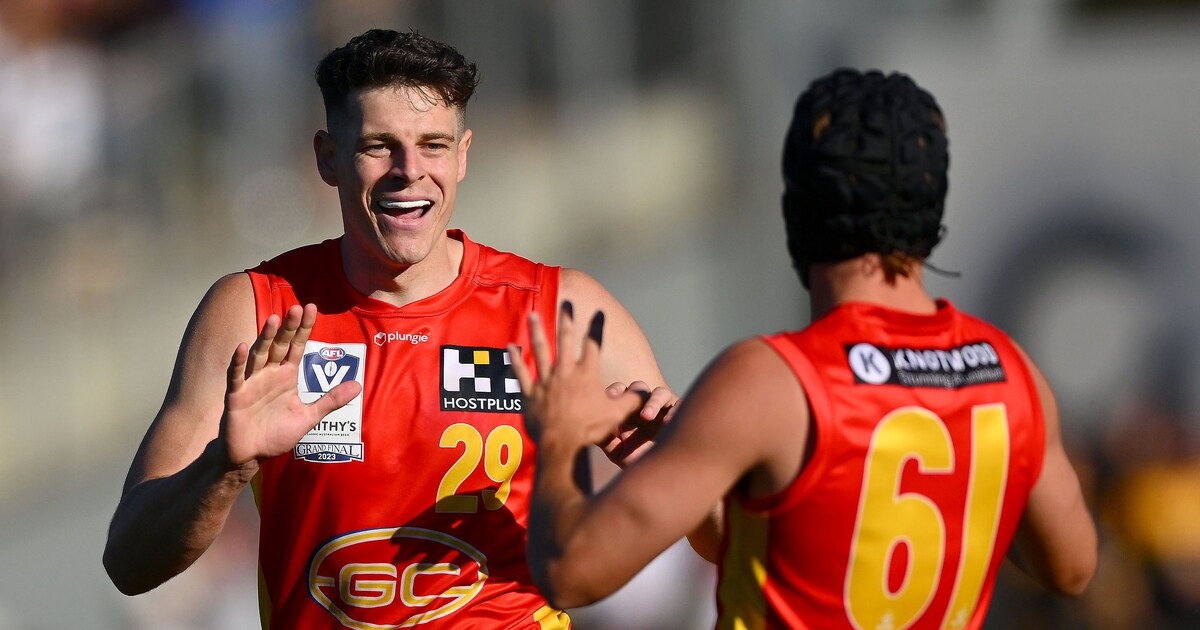 Adelaide Crows pick up versatile tall Chris Burgess, pick 14 in deal ...