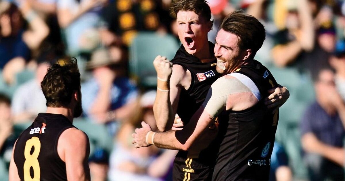 Ex-Roo Lachie Hosie the six-goal hero as Glenelg downs Sturt in SANFL GF
