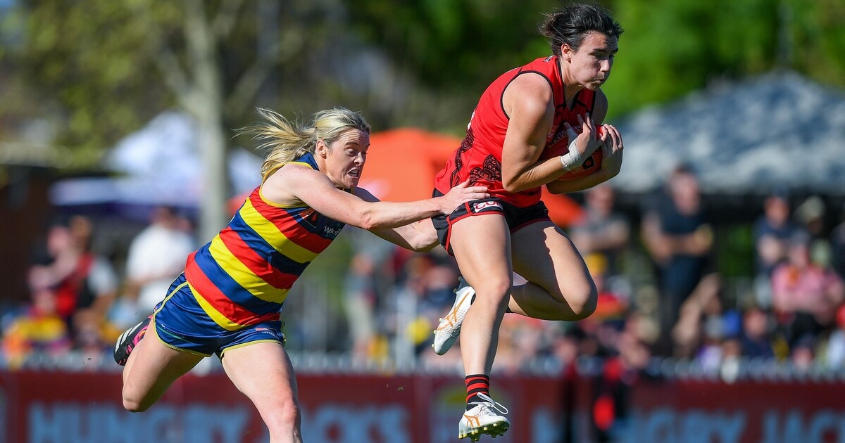 Making their mark: AFLW players soar to new heights in 2023