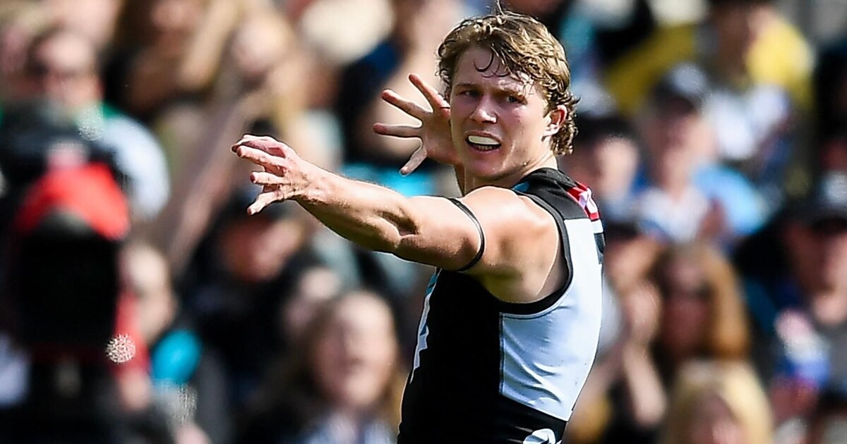 Bombers take aim at Port wingman, Dodoro confirms