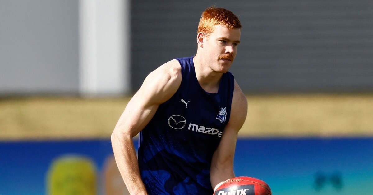 Tickled pink: North Melbourne Kangaroos' mature-age recruit Toby Pink ...