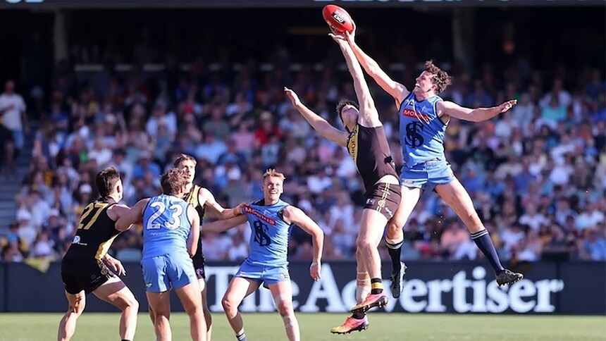AFL - News, Fixtures, Scores & Results - AFL.com.au