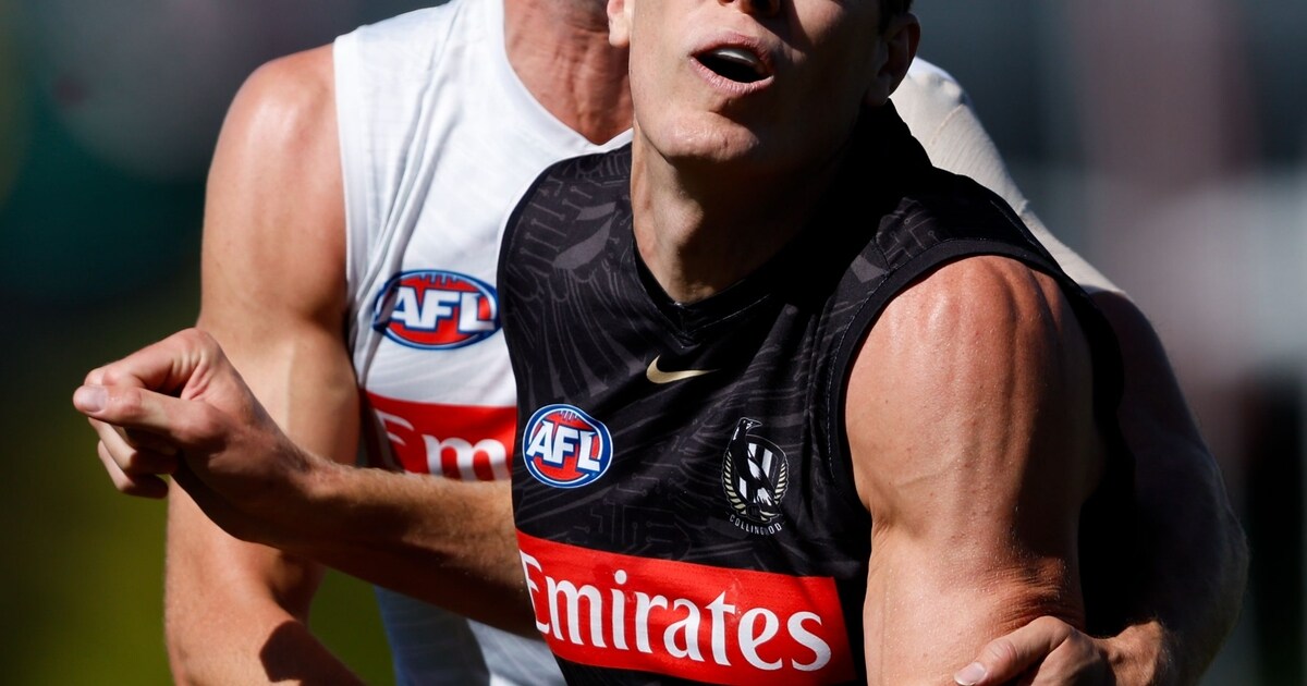 Official AFL Photo Galleries - AFL.com.au