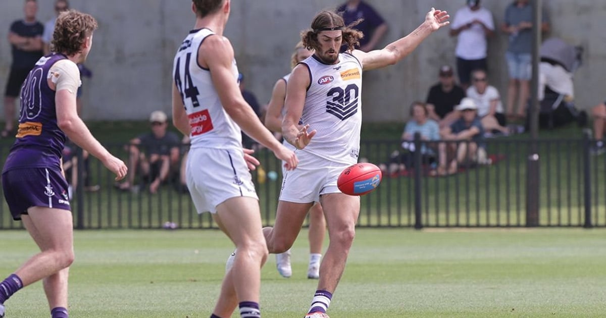 Big Fremantle Dockers ruckman Luke Jackson shines in intraclub, classy ...