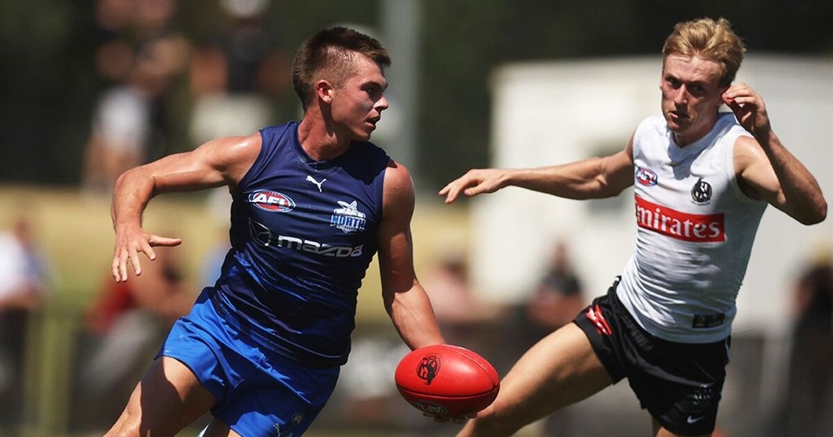 North Melbourne Kangaroos v Collingwood Magpies match simulation report ...