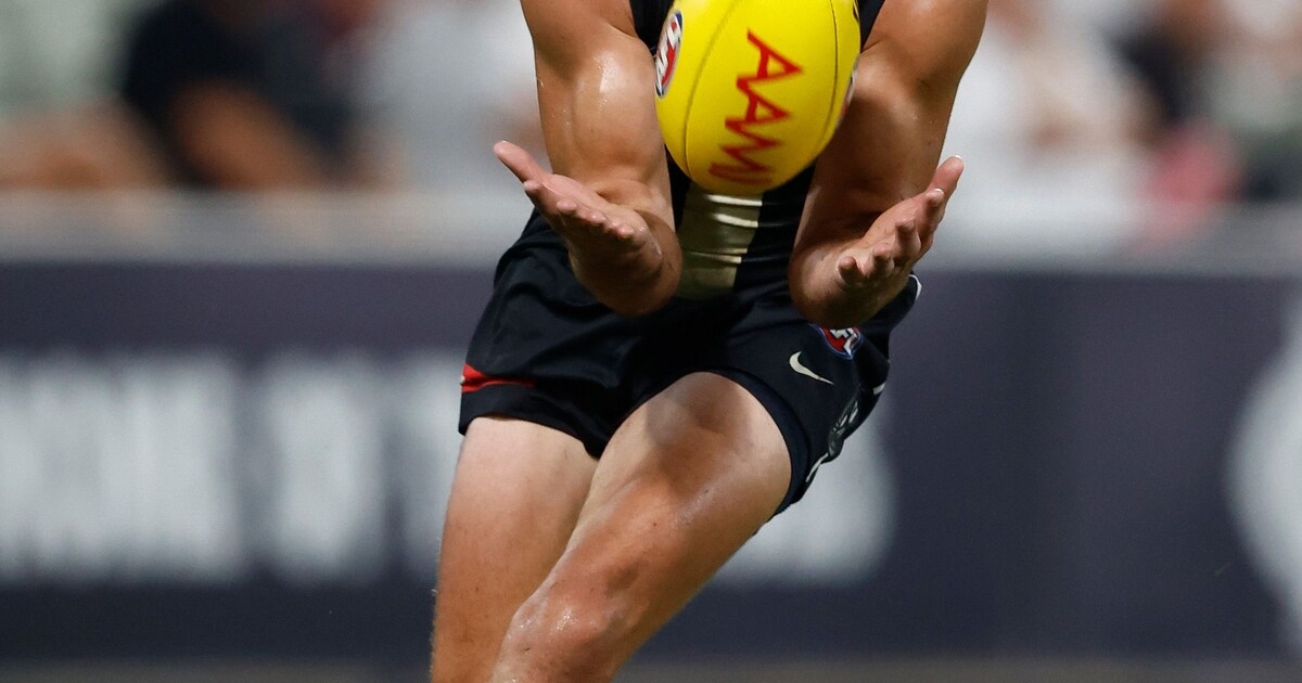Official AFL Photo Galleries - AFL.com.au