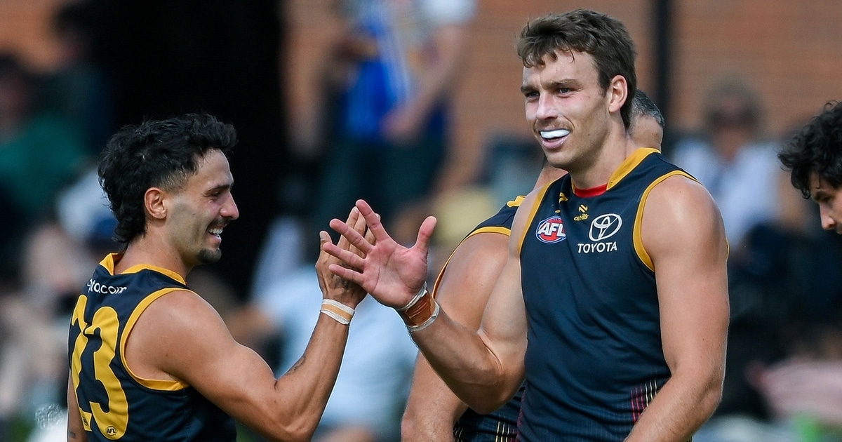 Adelaide Crows forward Riley Thilthorpe to miss the start of the 2024 ...