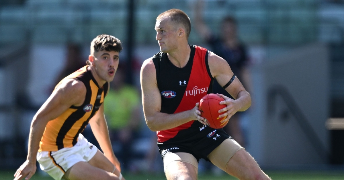 MATCH REVIEW: Hawthorn Hawks captain James Sicily, Essendon Bombers ...