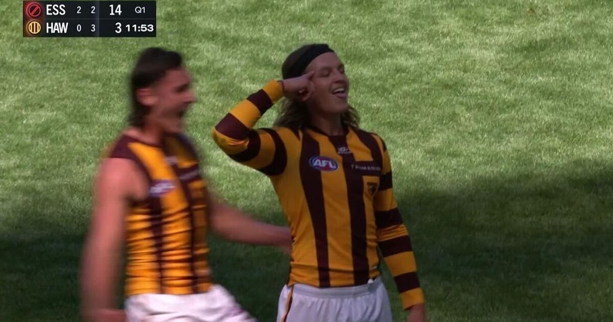 Ginnivan salutes crowd after first Hawks goal