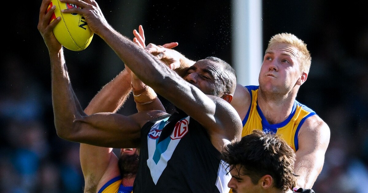 Timeline revealed for West Coast Eagles skipper Oscar Allen, surgery ...