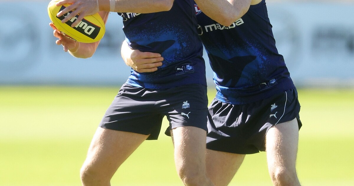 Official AFL Photo Galleries - AFL.com.au