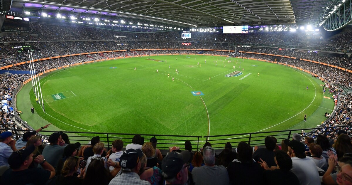 Another AFL ground invader banned for life