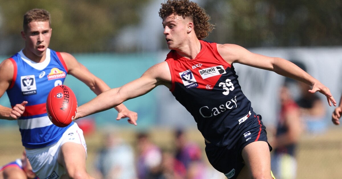 2024 Smithy's VFL Season Review - Casey Demons