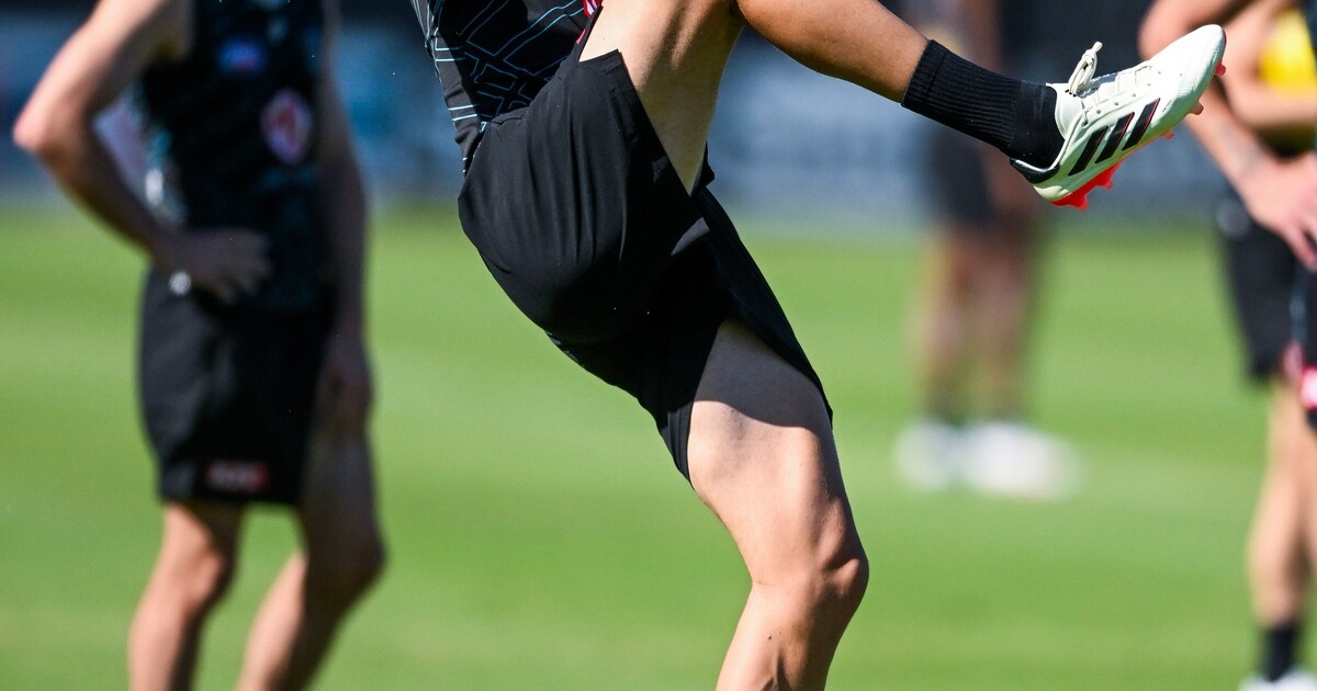 Official AFL Photo Galleries - AFL.com.au