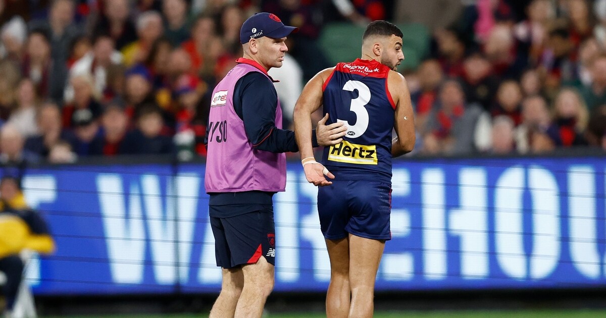 Medical room: The full AFL injury list, R16