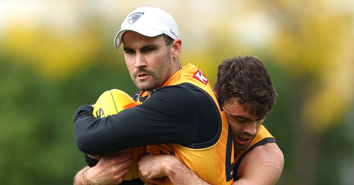 Hawthorn Hawks veteran Chad Wingard dealt setback, forward Mitch Lewis ...