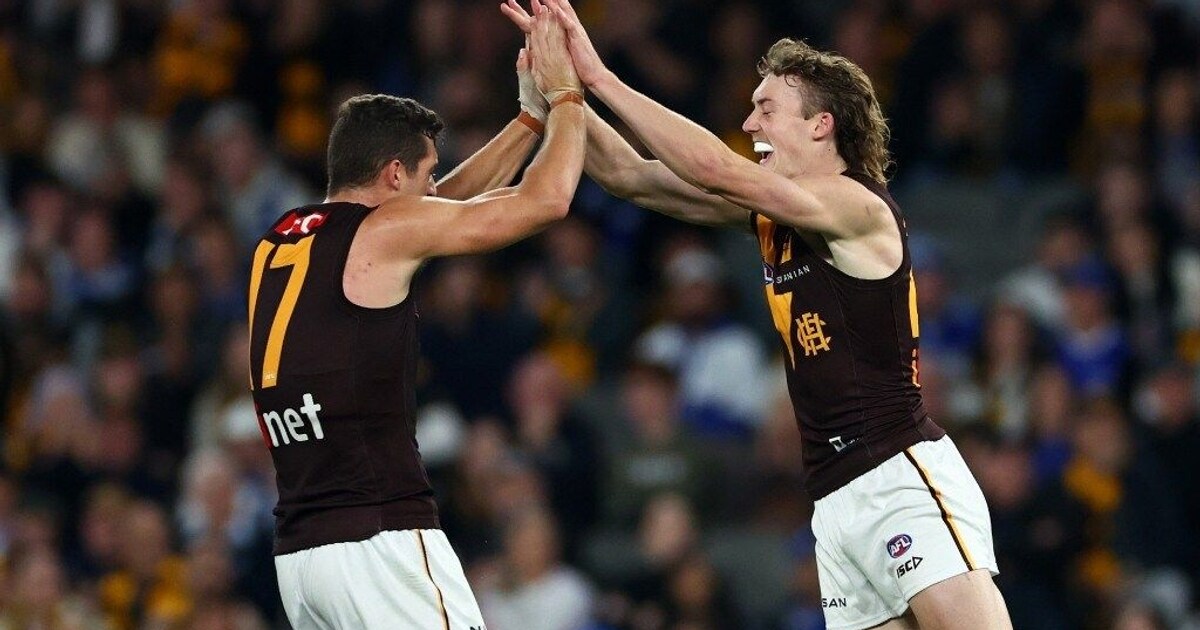 Hawks celebrations made to wait with double score review