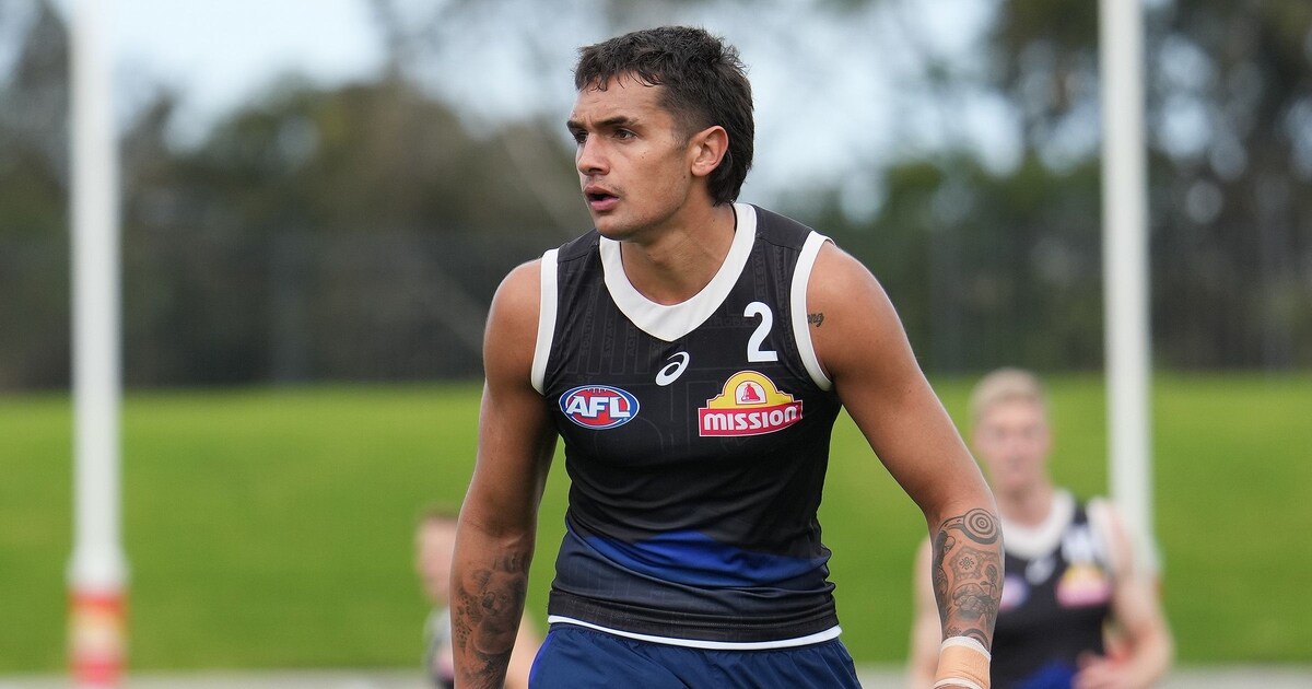 Western Bulldogs star Jamarra Ugle-Hagan 'unlikely' to face Fremantle ...