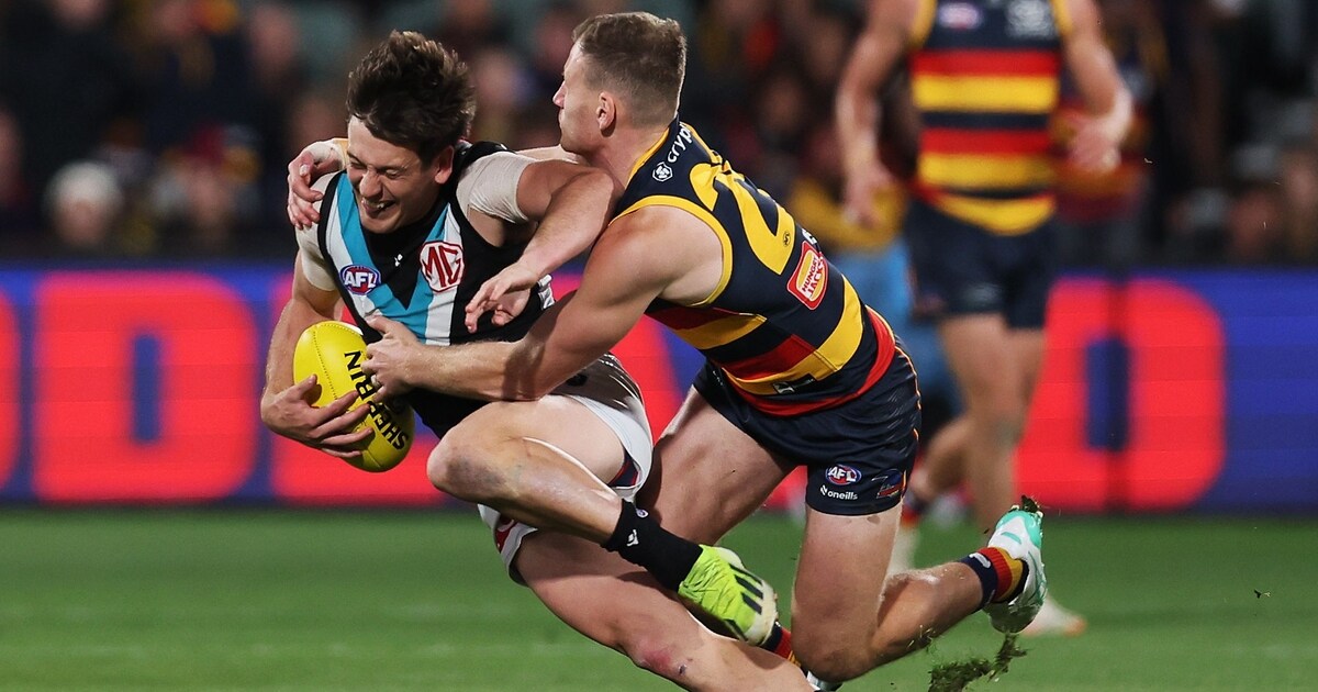 Taking flight? How Adelaide Crows have started to turn form around