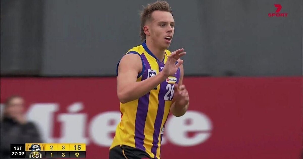 VFL Showreel, R8: Matthew Allison highlights