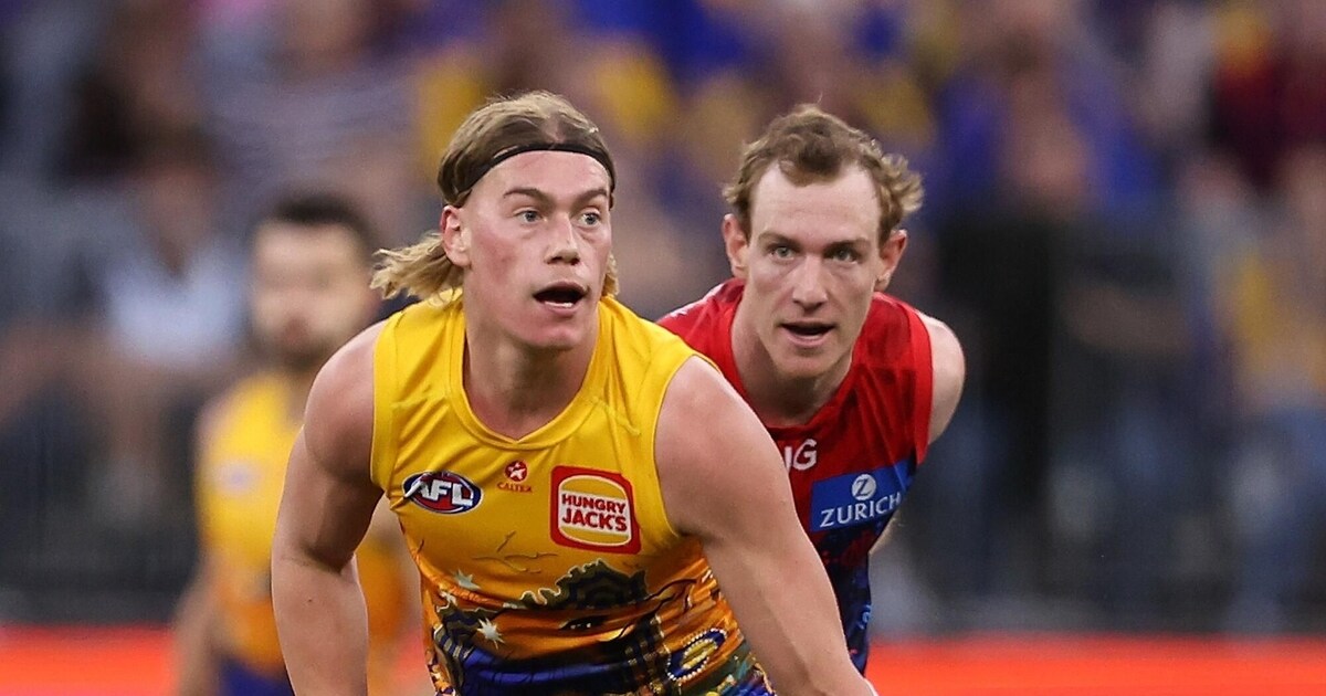 'Very rare and special': Harley Reid hype reaches fever pitch