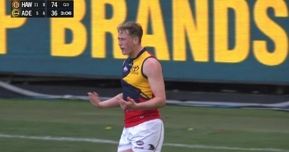 Cook starts cooking as Crows surge back