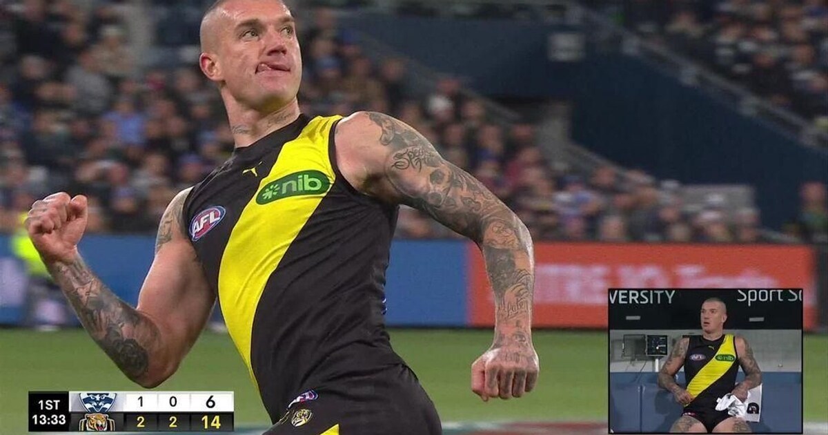 Cats pay full price for letting Dusty go to work