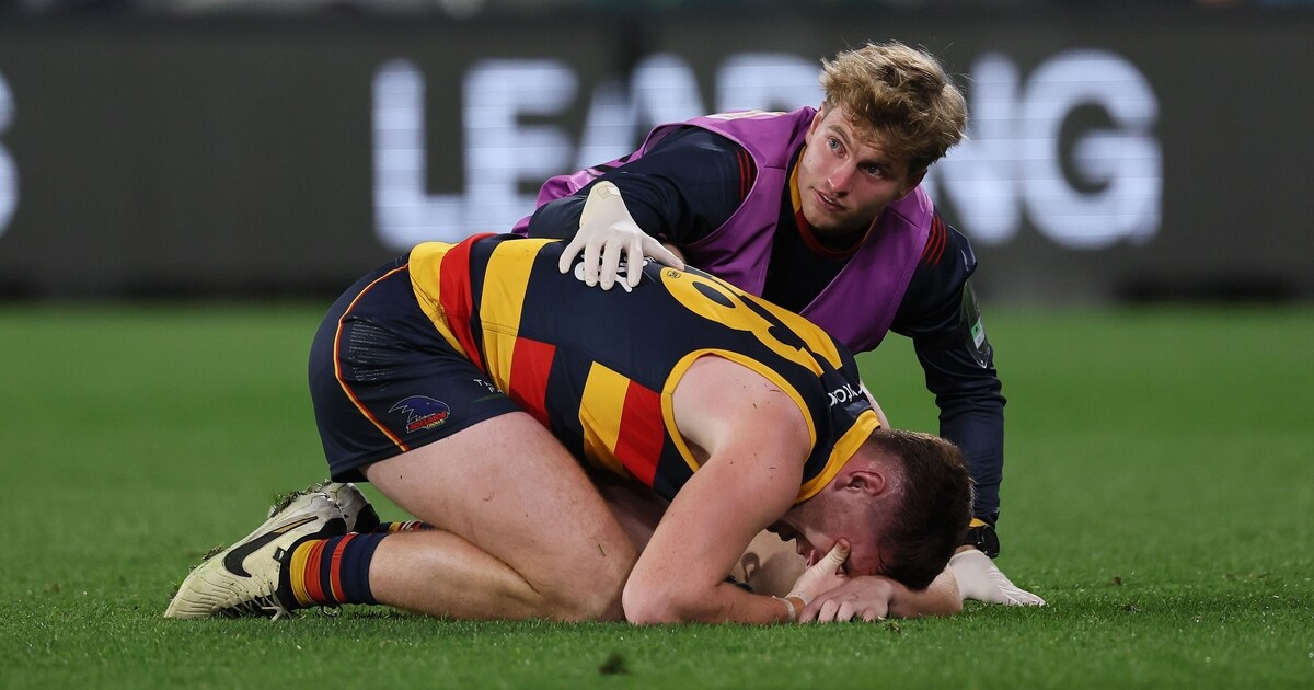 MATCH REVIEW: Tigers forward Jacob Koschitzke fined for hit on Crows ...