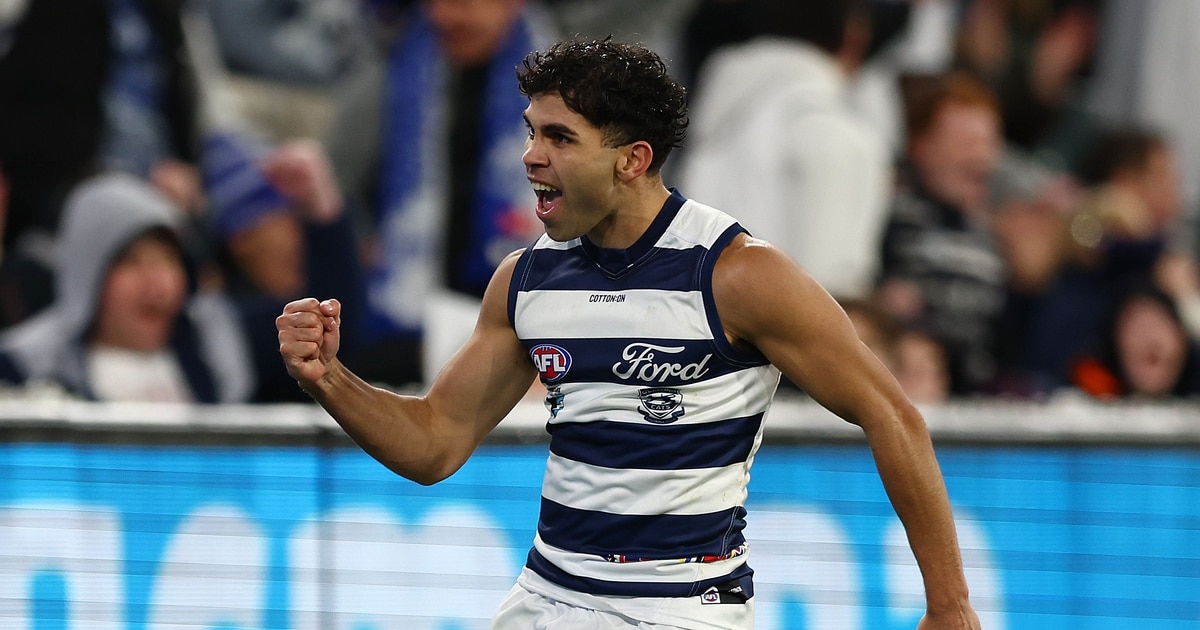 Geelong Cats forward Tyson Stengle 'in good shape' after nightclub 'hiccup'