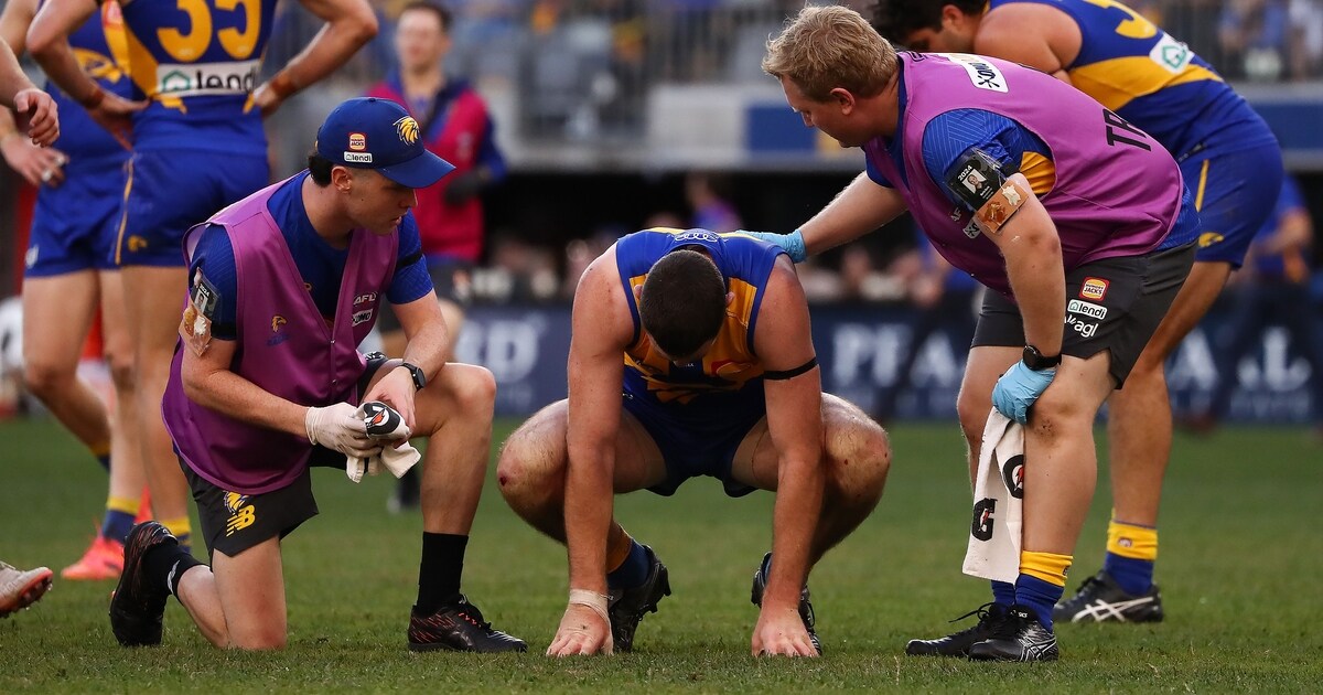 Eagle grounded with broken rib, punctured lung