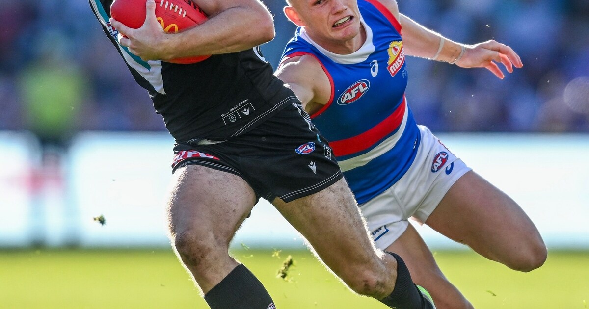 Official AFL Photo Galleries - AFL.com.au