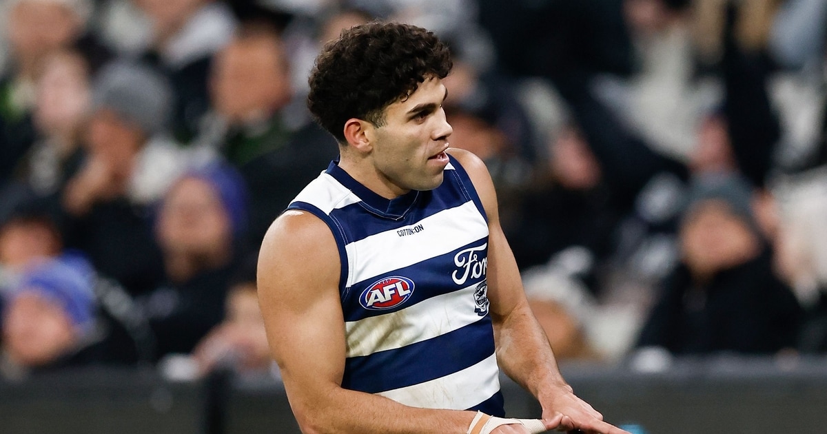 Geelong Cats forward Tyson Stengle recovering after 'health incident ...