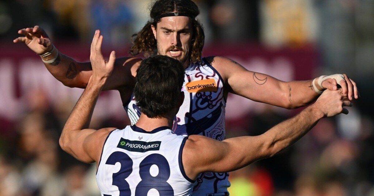 Jumping Jackson brings high-flying action