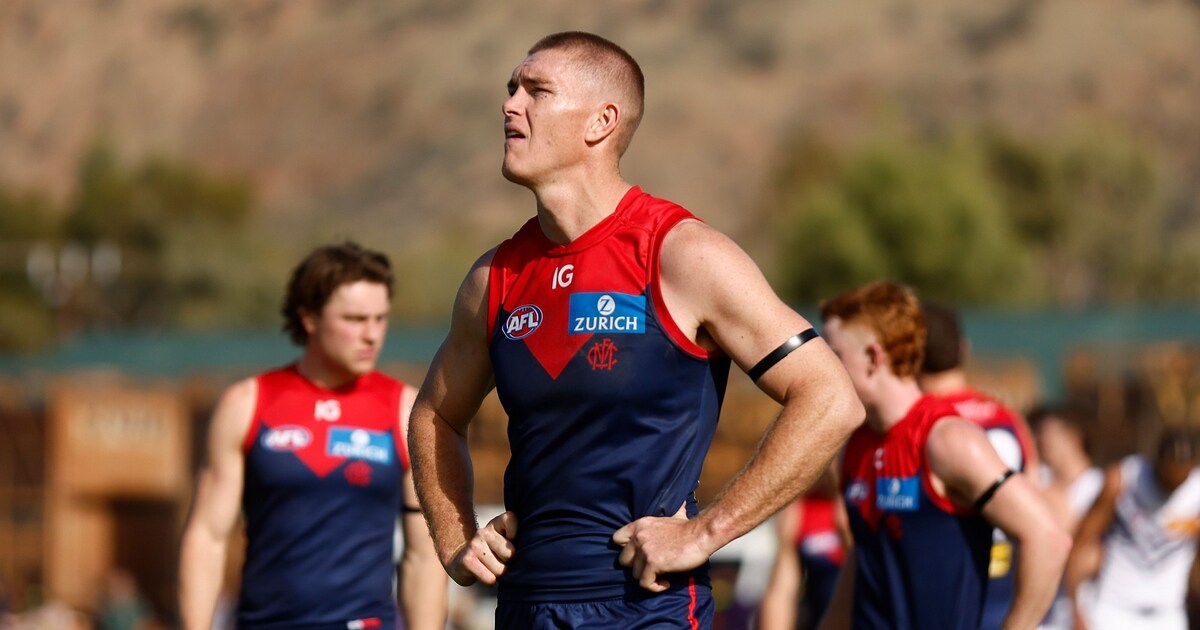 Melbourne Demons delist veteran defender Adam Tomlinson