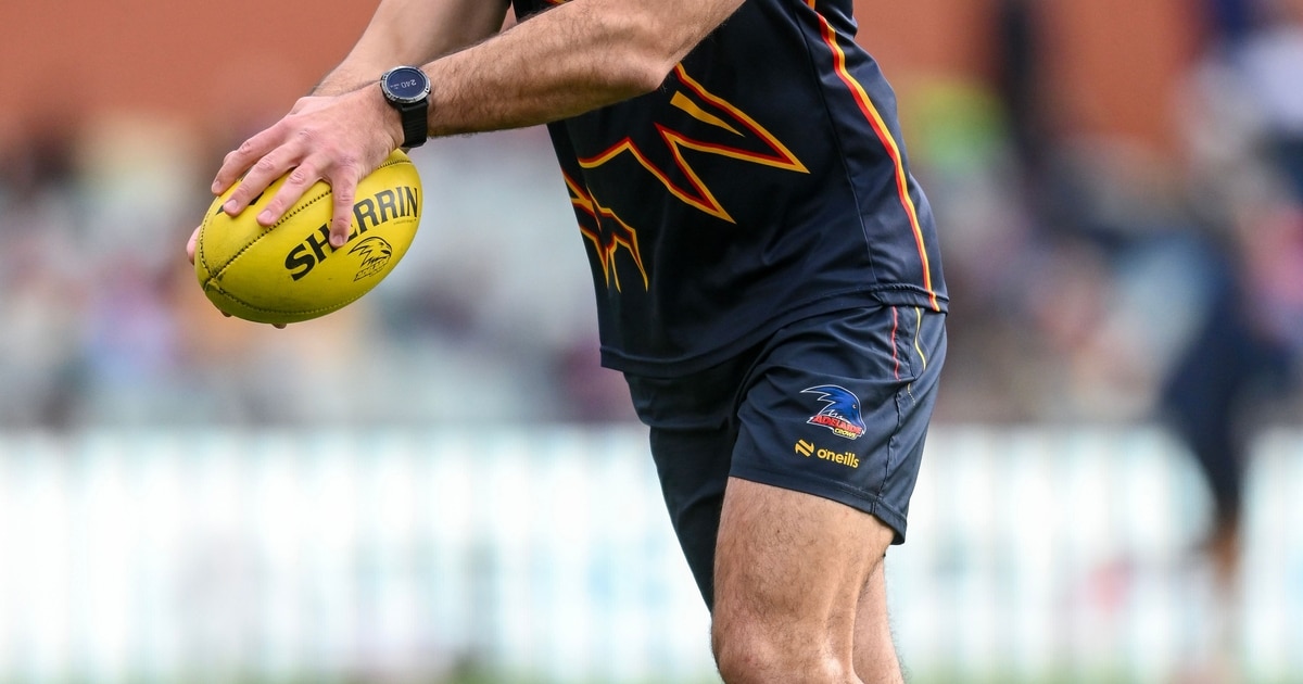 Official AFL Photo Galleries - AFL.com.au