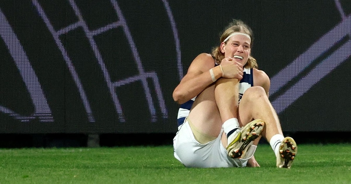 Cats confident on De Koning, praise Stengle for strong display